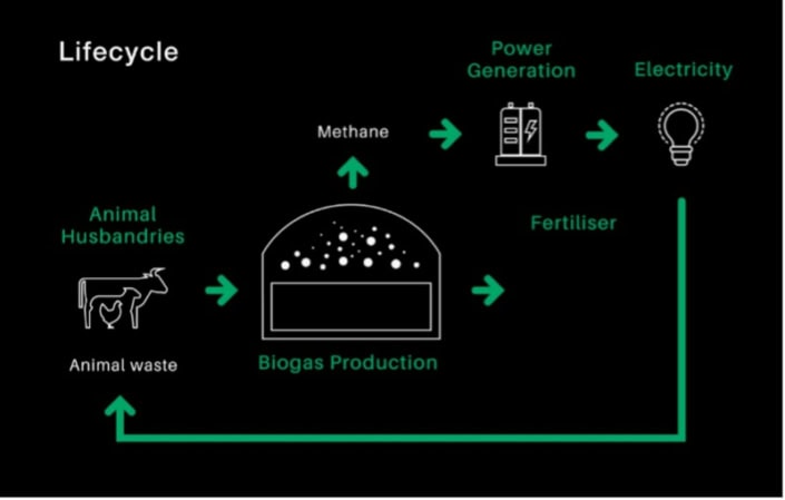 Biogas for Pig Farms - Finn Biogas